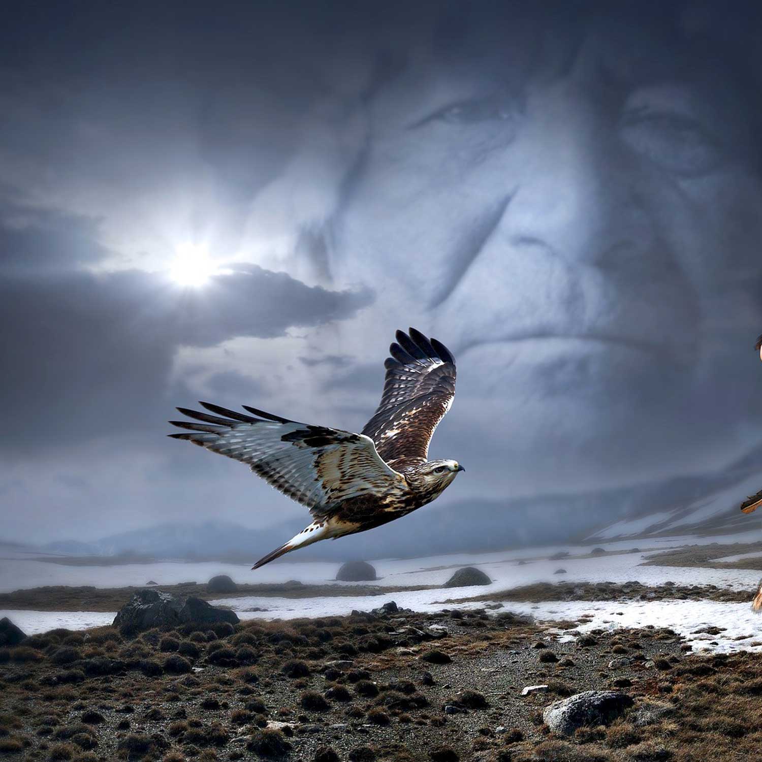 Kvasir und der Dichtermet | Nordische Mythologie