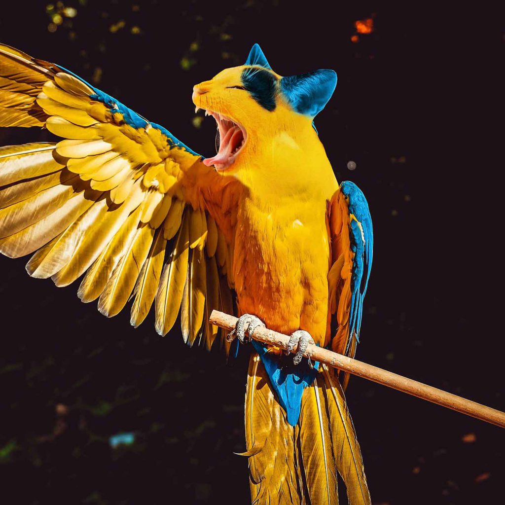 Mutation als Antreiber der Evolution - Definition und Bedeutung