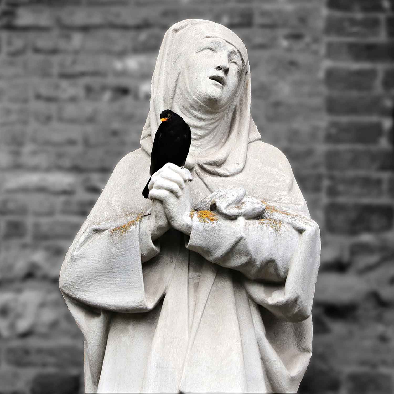 Judith: Biographie der Prinzessin aus Northumbria und Wessex