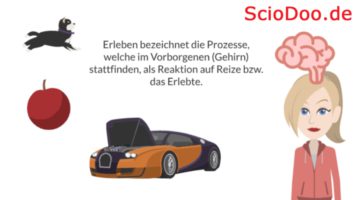 Psychologie: Zusammenhang zwischen Verhalten, Erleben und Handeln