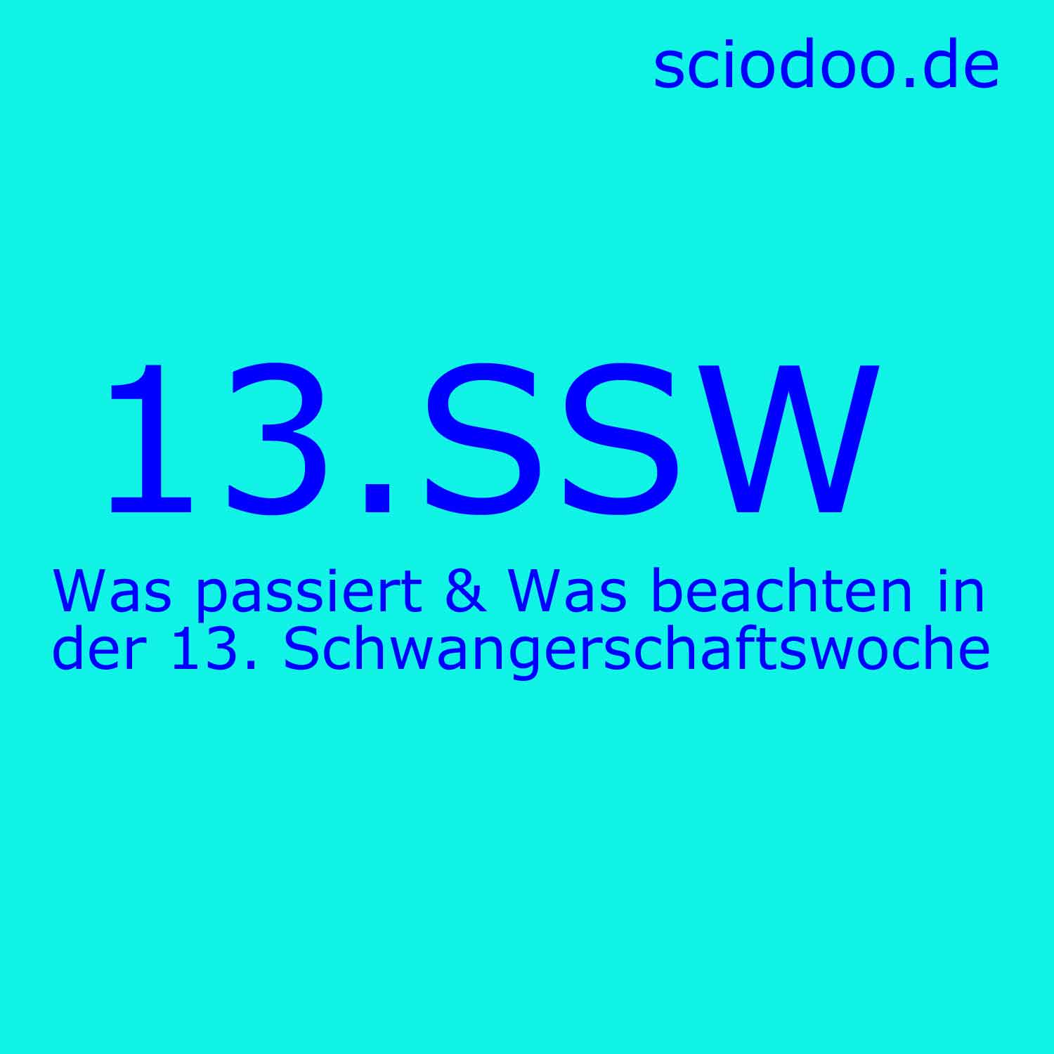 13. SSW: Entwicklung und Symptome der 13. Schwangerschaftswoche