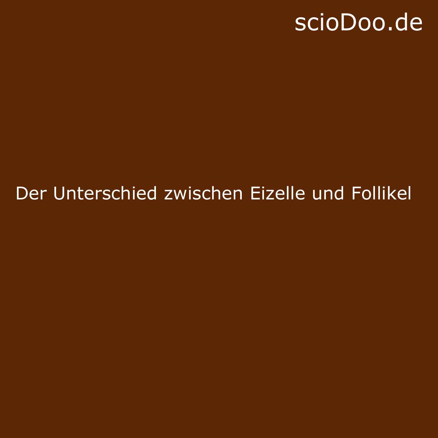 Der Unterschied zwischen Eizelle und Follikel