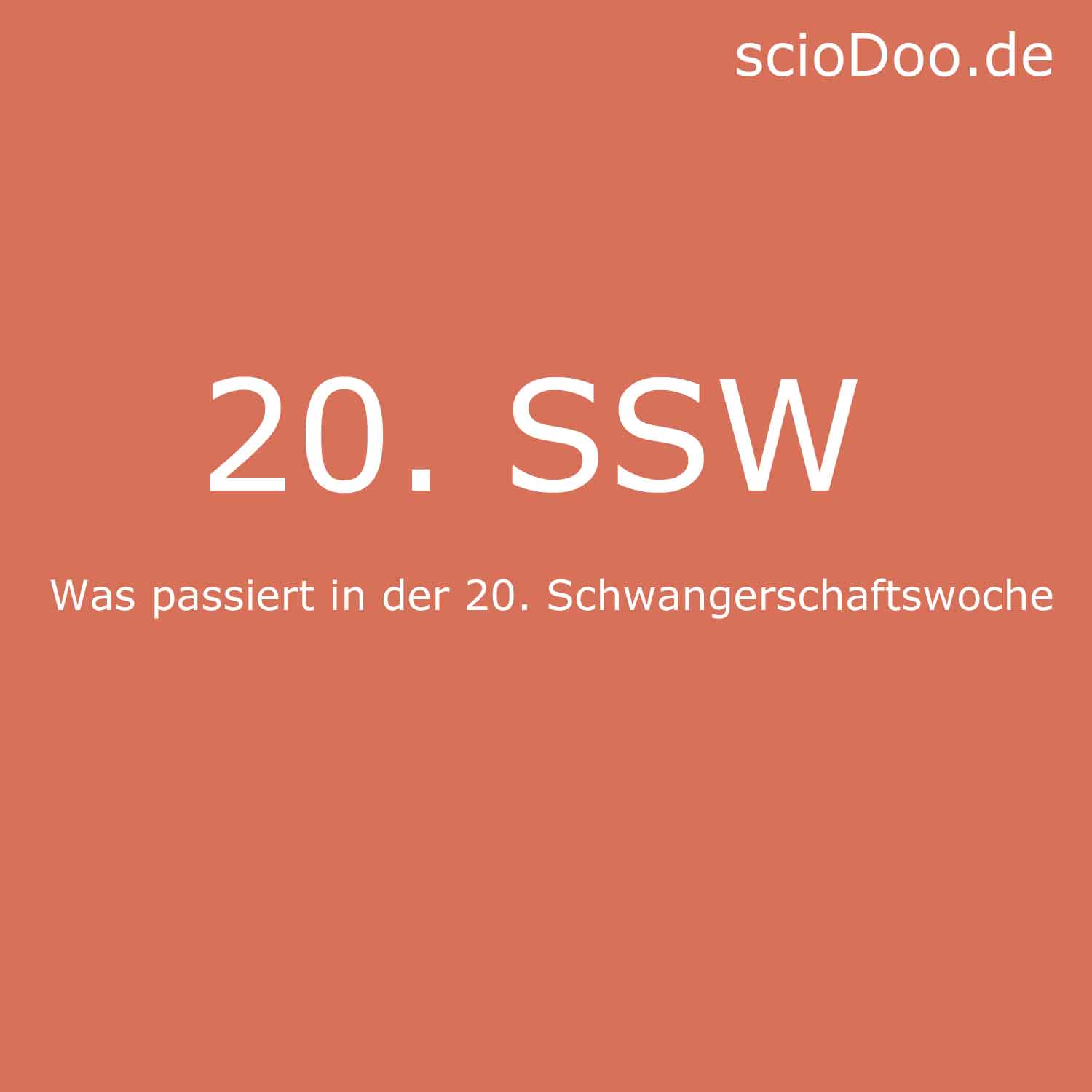 20. SSW: Symptome und Entwicklung in der 20. Schwangerschaftswoche