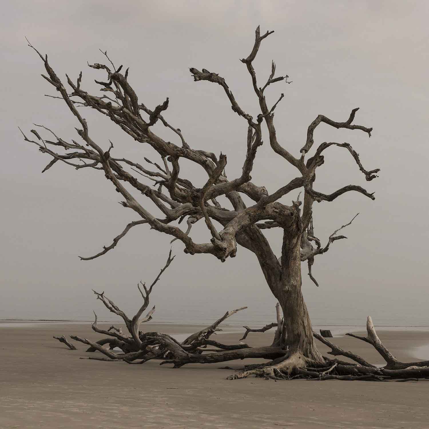 Soziale Isolation: Ursachen und Folgen