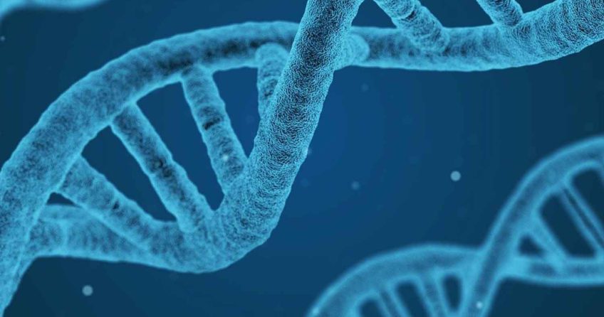 Darwinismus: 5 Thesen in der Evolutionstheorie nach Charles Darwin