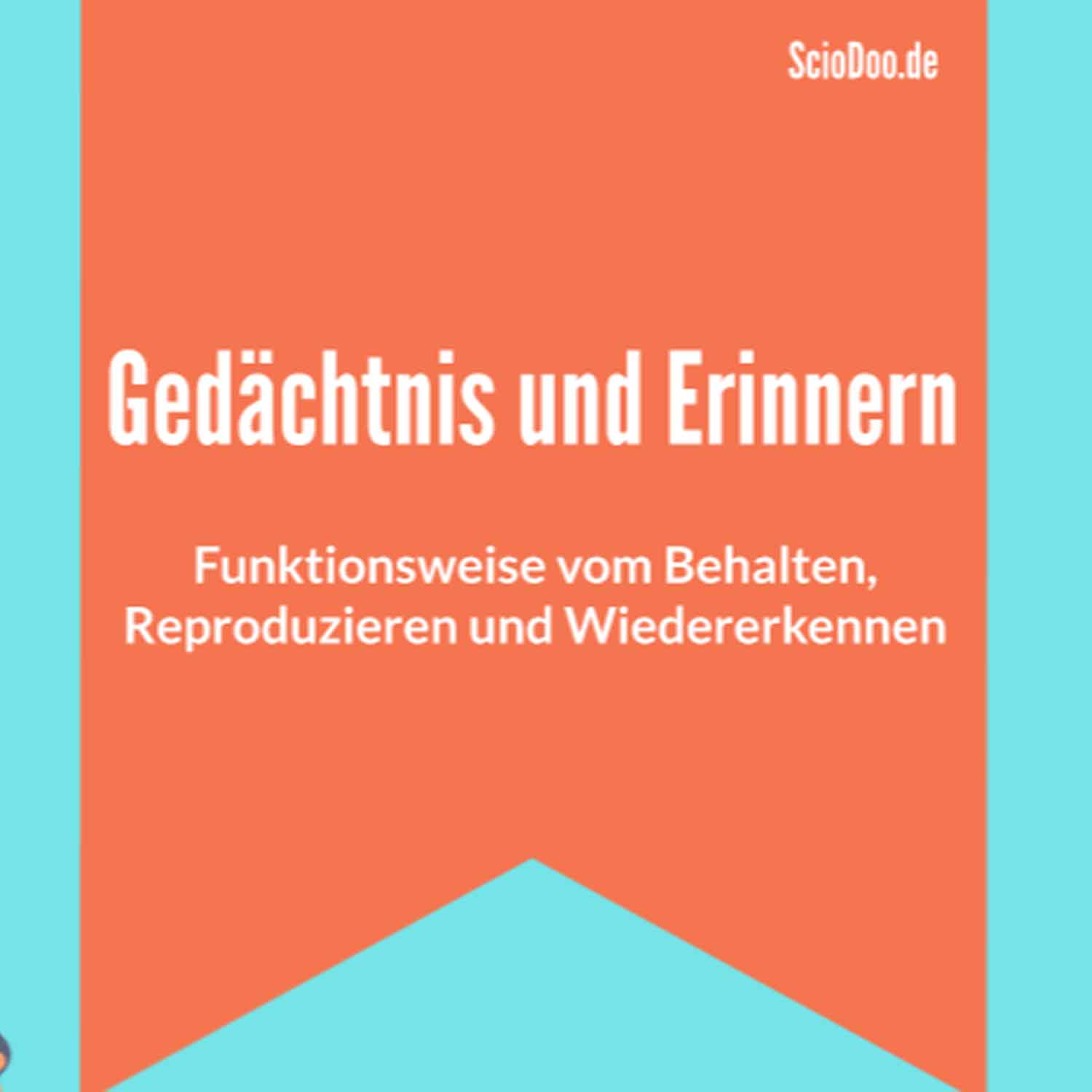 Gedächtnis und Erinnern: Funktionsweise des Behalten, Reproduzieren ...