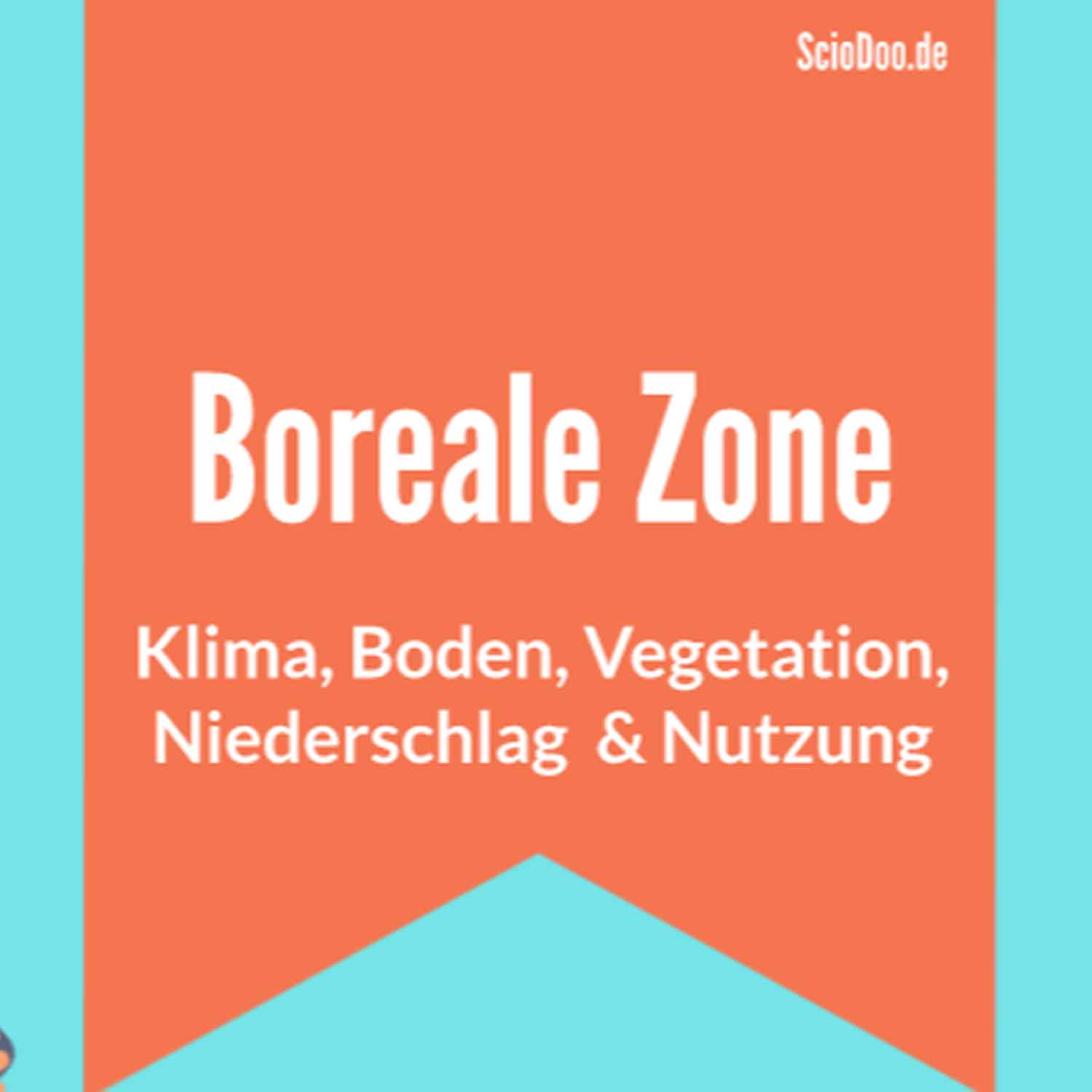 Boreale Zone: Klima, Boden, Vegetation, Niederschlag, Nutzung, Tiere ...