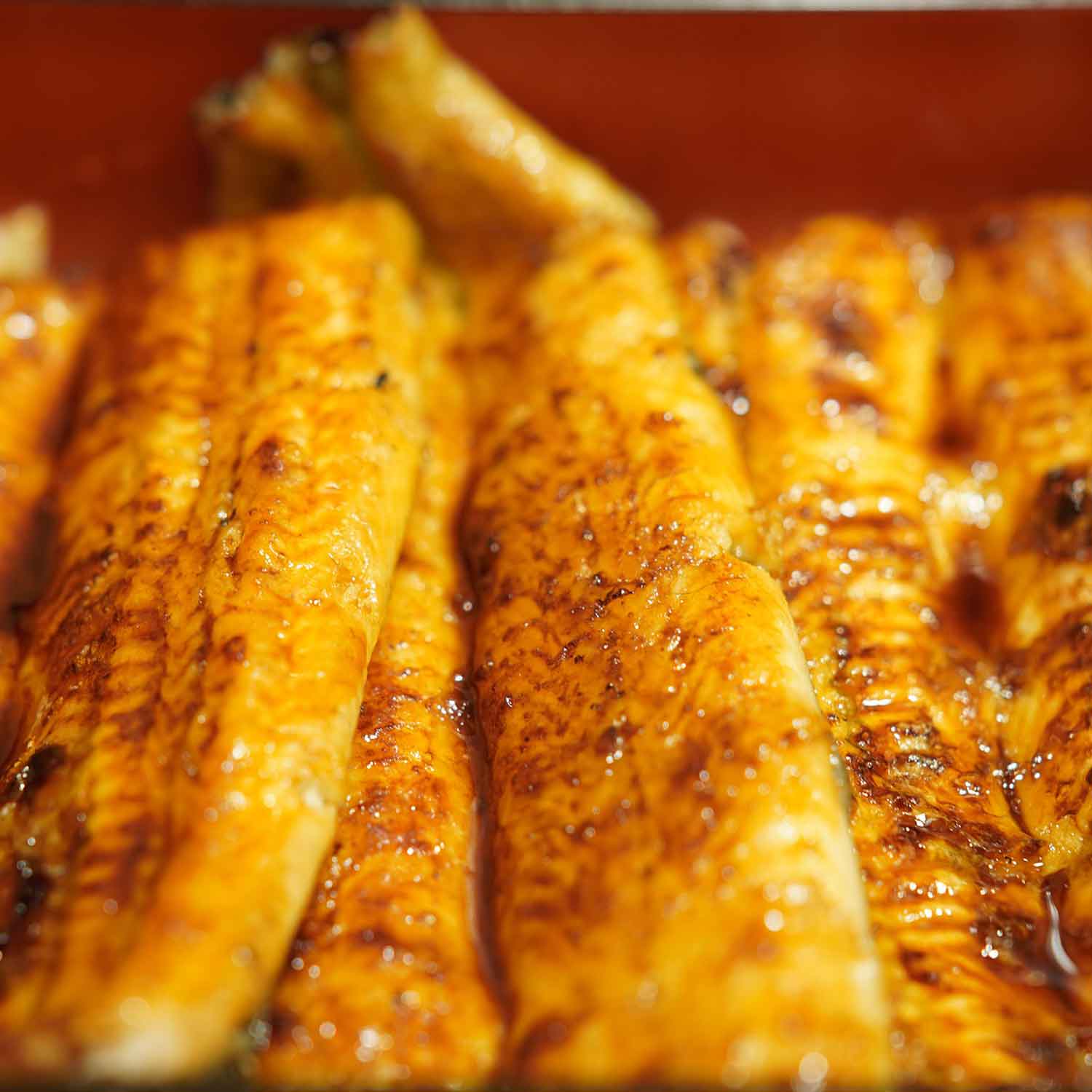 Warum ist Aal so fettig