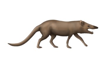 4 Gründe, warum Brückentiere wichtig für die Evolution sind