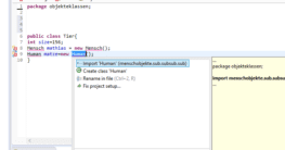 So kannst du mit packages deine Klassen im Java Programm verwalten