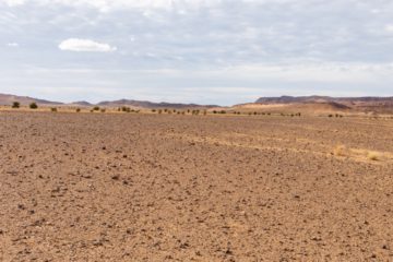 29 Merkmale von Wüsten als Lebensraum, Ökosystem und Biotop