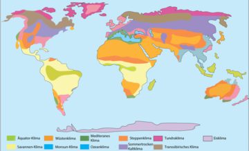 20 Merkmale der Savanne als Lebensraum, Ökosystem, Biotop