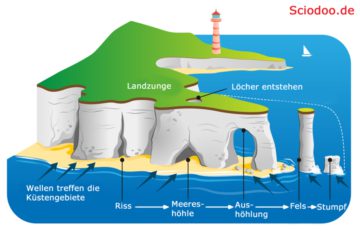 Die 15 Küstenformen, ihre Entstehung und Tier- und Pflanzenwelt