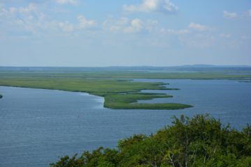 Die 15 Küstenformen, ihre Entstehung und Tier- und Pflanzenwelt