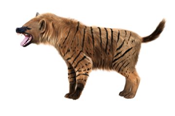 Welche Tiere lebten in der Steinzeit