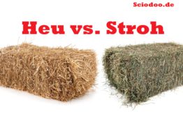 Heu vs. Stroh: 7 Unterschiede, Fragen und Antworten
