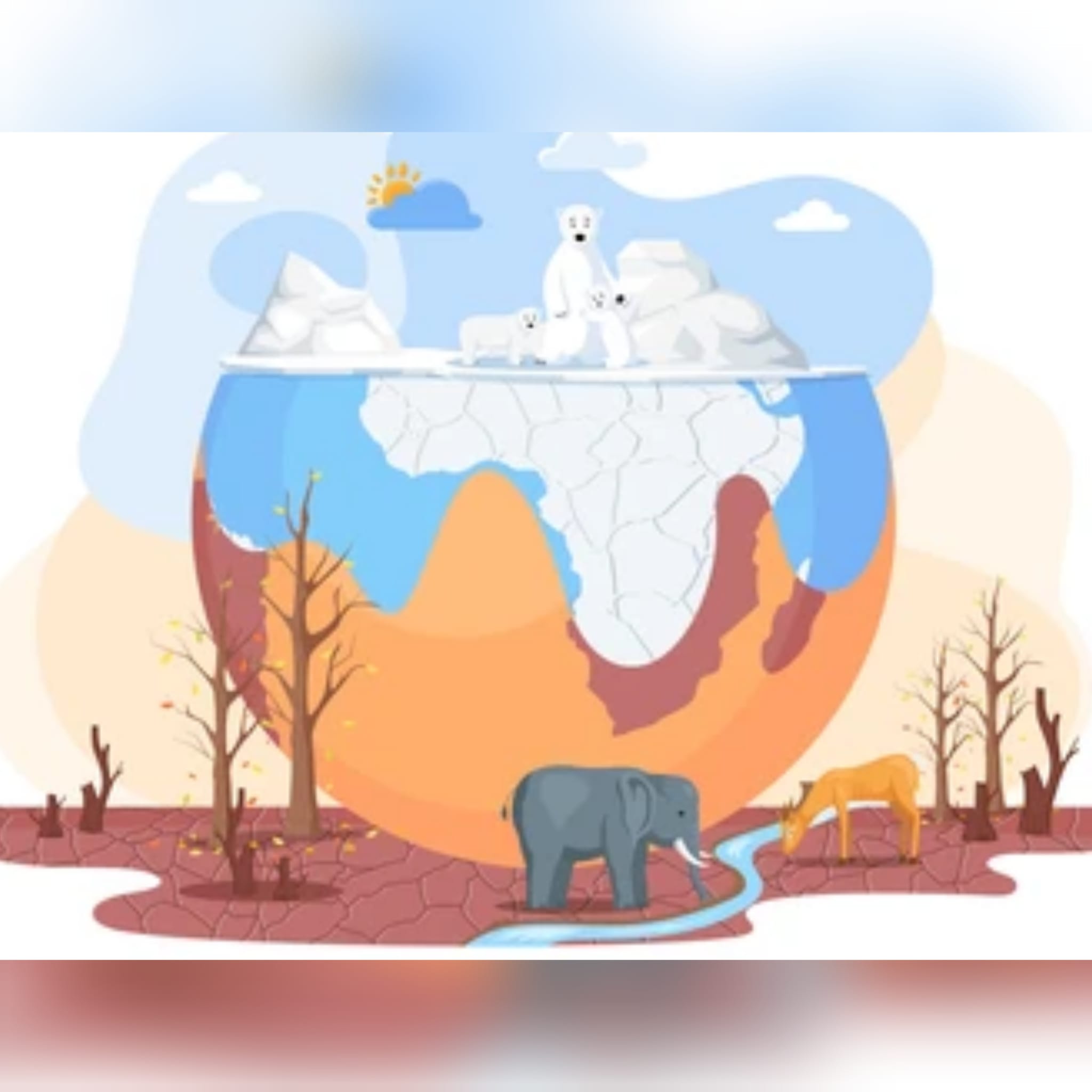 8 Ursachen & Gründe für das Artensterben